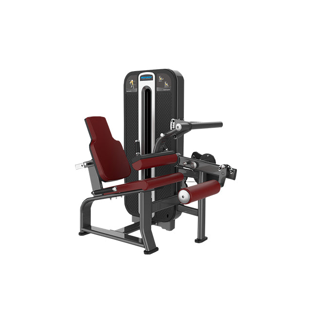 Inspired Fitness - Leg Curl / Leg Extension (RS-6 SERIES)